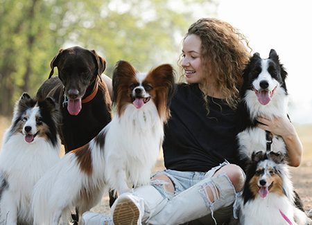 Dog's Country Hudson